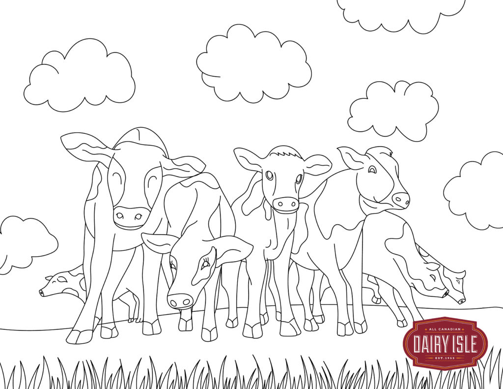 Colouring Pages - Dairy Isle